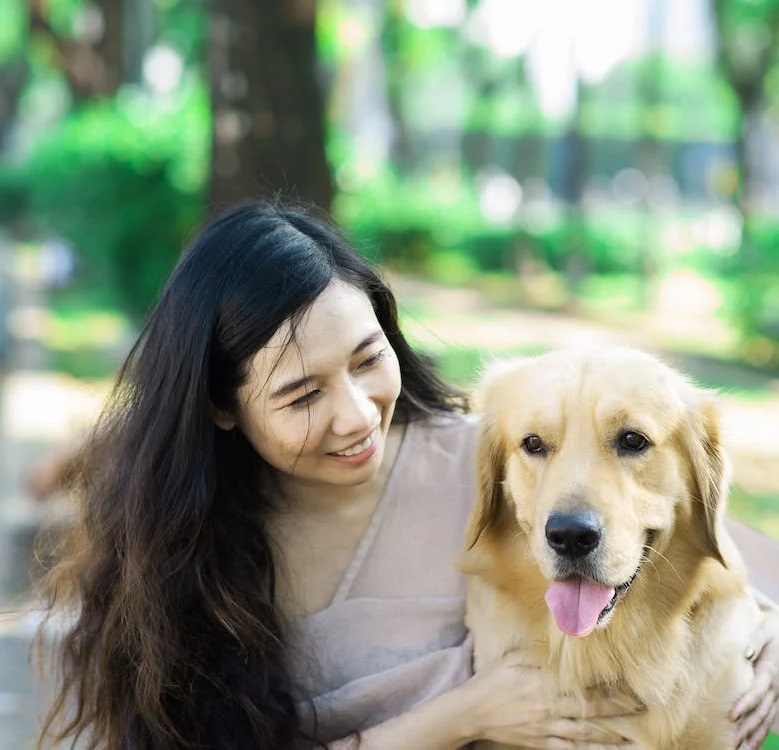 TailWag Hub | Veterinary Clinic